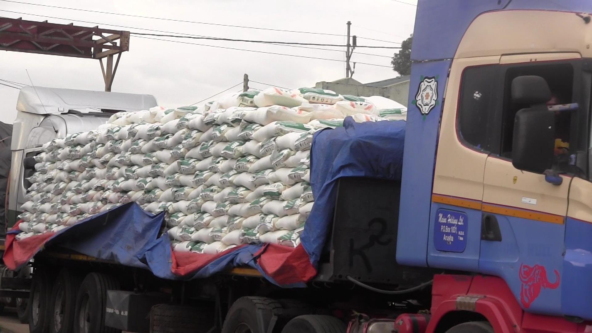 Tanzania yaongeza kasi utafutaji masoko ya nafaka kimataifa - Nukta Habari