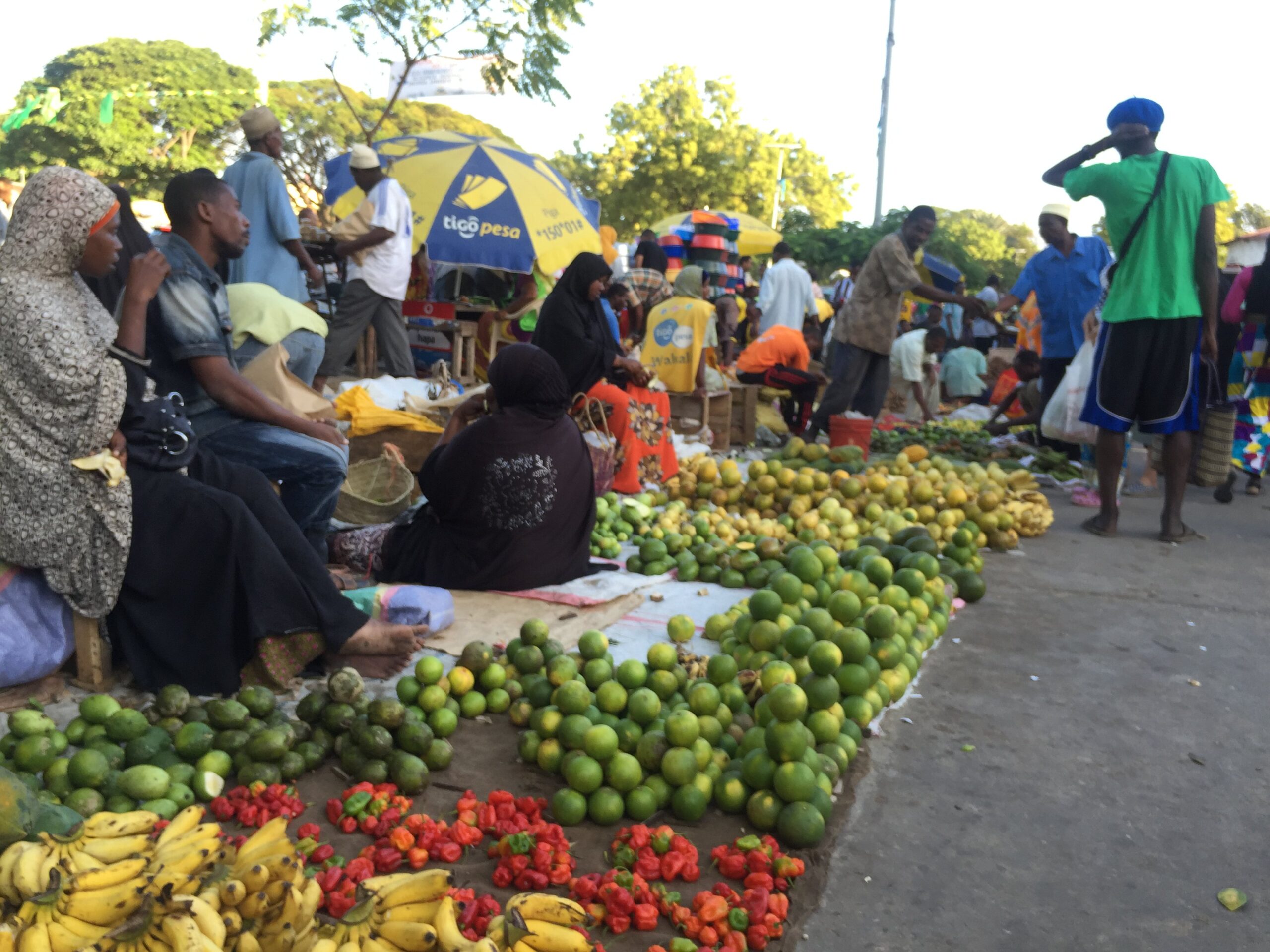 Wakulima zaidi ya 7,000 kunufaika kilimo cha mboga, matunda Tanzania ...