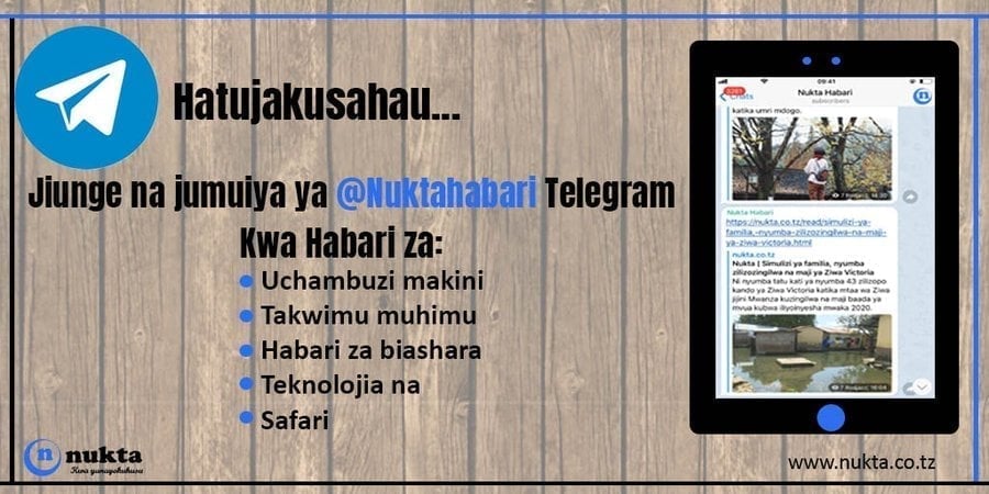 Sifa 10 za mbuni zinazomtofautisha na ndege wengine - Nukta Habari