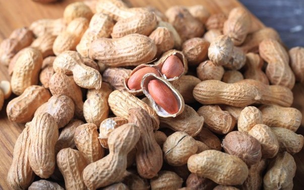 Karanga: Kinara mazao mbegu za mafuta Tanzania - Nukta Habari