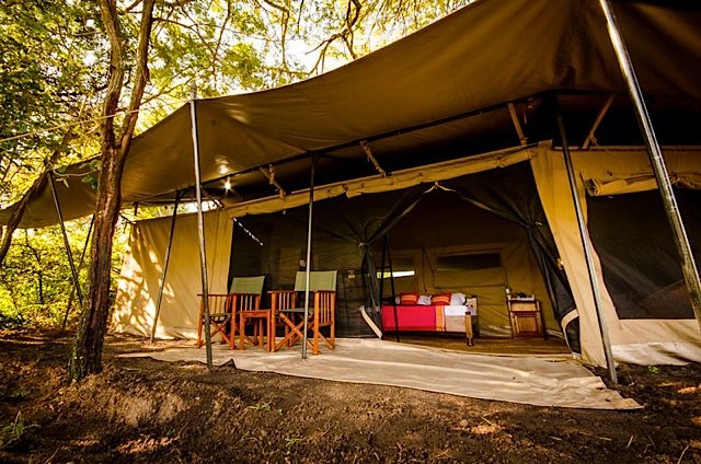 Una mpango wa kutembelea mbuga za wanyama? Zingatia haya - Nukta Habari